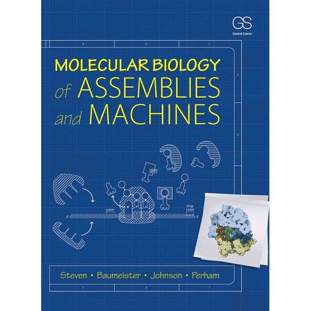Molecular Biology